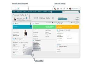 Human Resources Management Systems for Small Business - IntexSoft