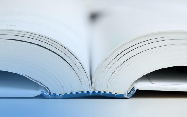 From MVP to Full-Scale Product: A Step-by-Step Guide to Scaling ...